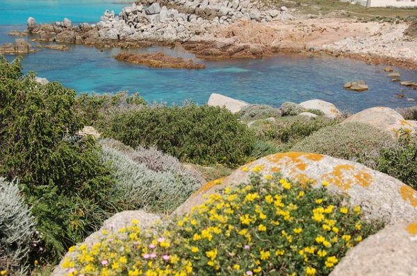 Camping La Pinède Calvi en Corse en bord de mer