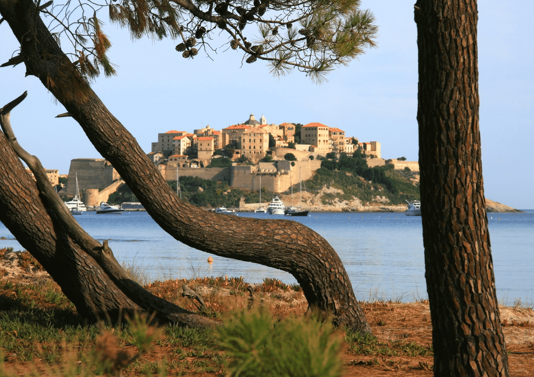 Camping La Pinède Calvi en Corse en bord de mer